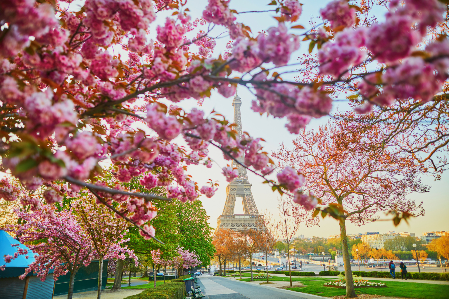 Où partir en mars en France ? Top 5 des destinations au printemps