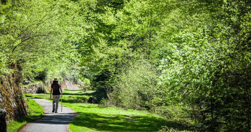 Randonnée Côte d'Or : 6 idées rando à découvrir 🥾